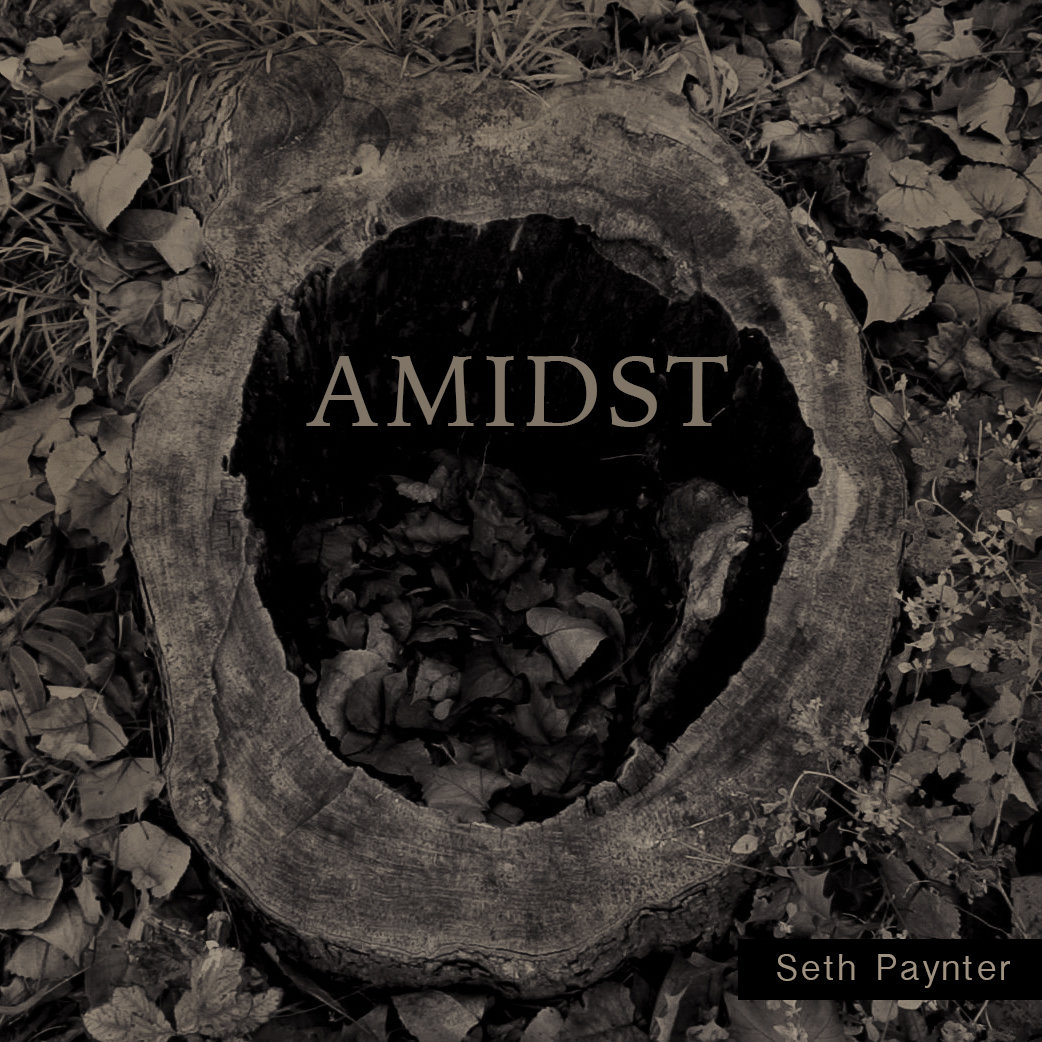 Amidst | Seth Paynter