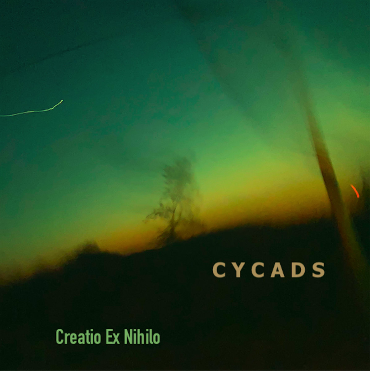 Creatio Ex Nihilo | Cycads