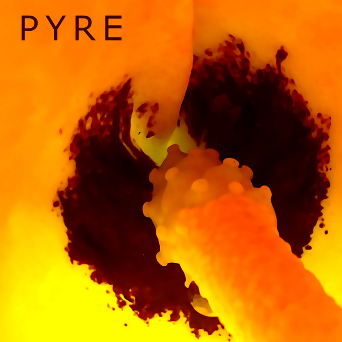 Pyre | Michael Bell