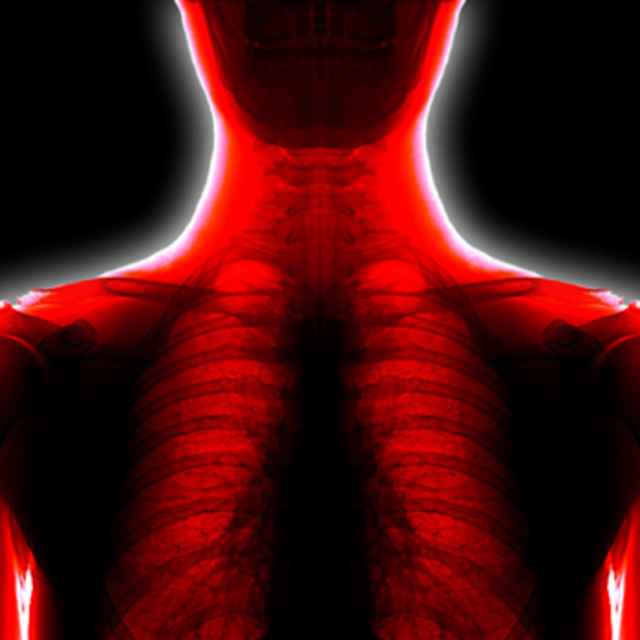 The Formless | The Formless