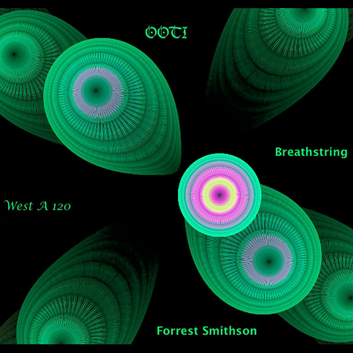 OOTI | forrest smithson