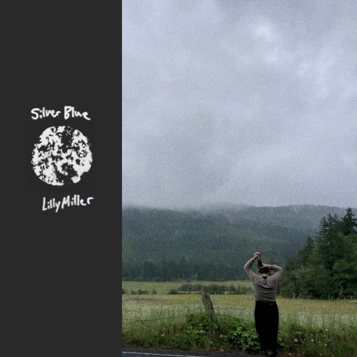Silver Blue | Lilly Miller