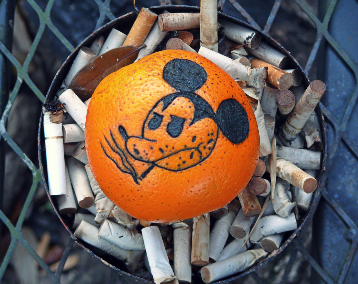 tarantado | Quo Vadis