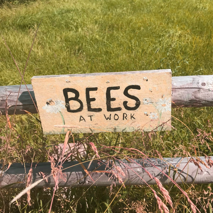 Bees At Work | Nick Piovesan