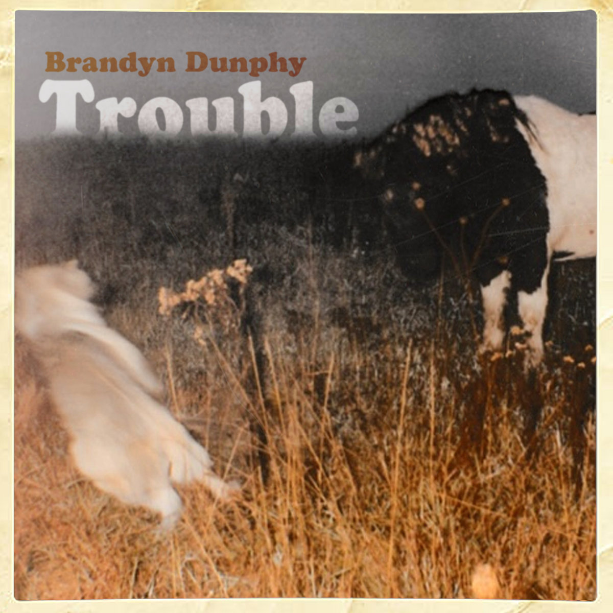 Trouble | Brandyn Dunphy