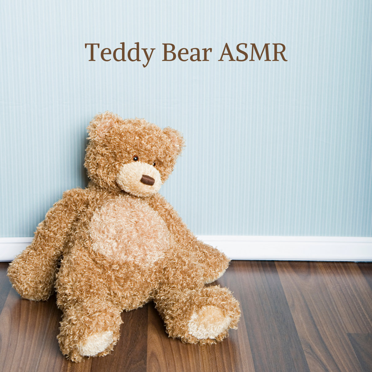Teddy Bear ASMR | Aimee ASMR