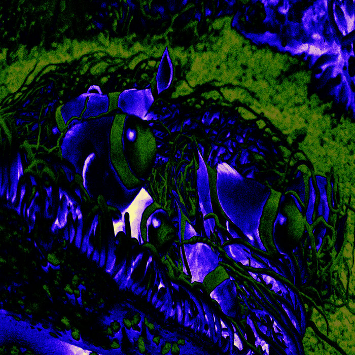 Bubbles from your goldfish (Frank) | Acidulent