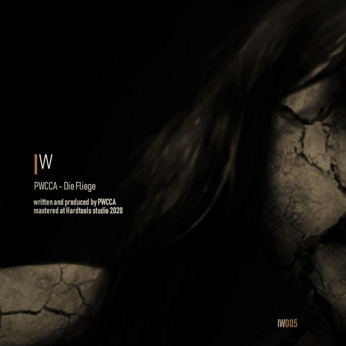 Die Fliege (Inducted waves 005) | PWCCA | Hardtools records