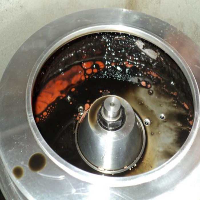 separation anxiety | forecast