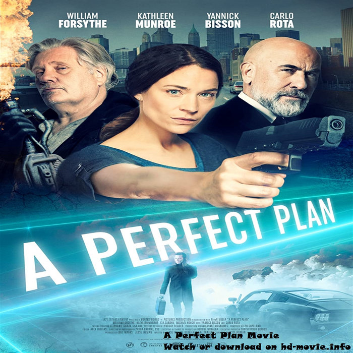 A Perfect Plan Movie | bulvadestthern1985