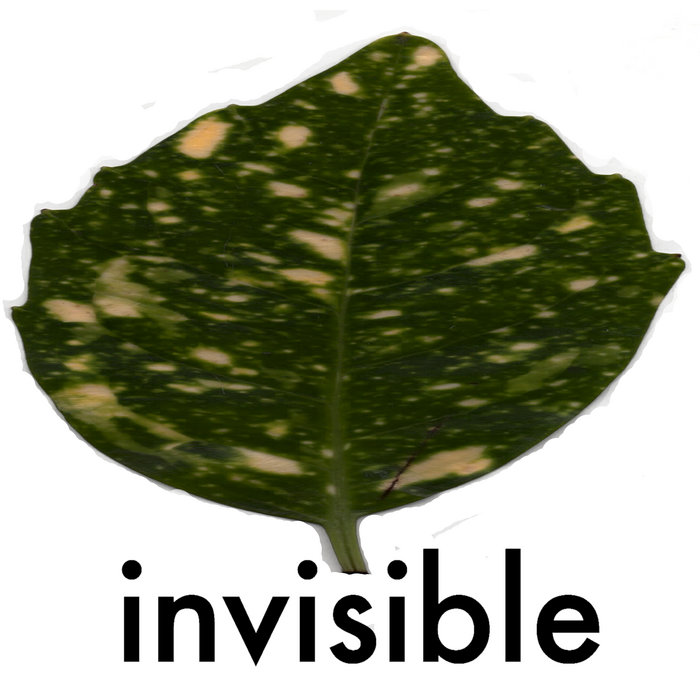 invisible | Mutant Beatniks | Institute For Alien Research