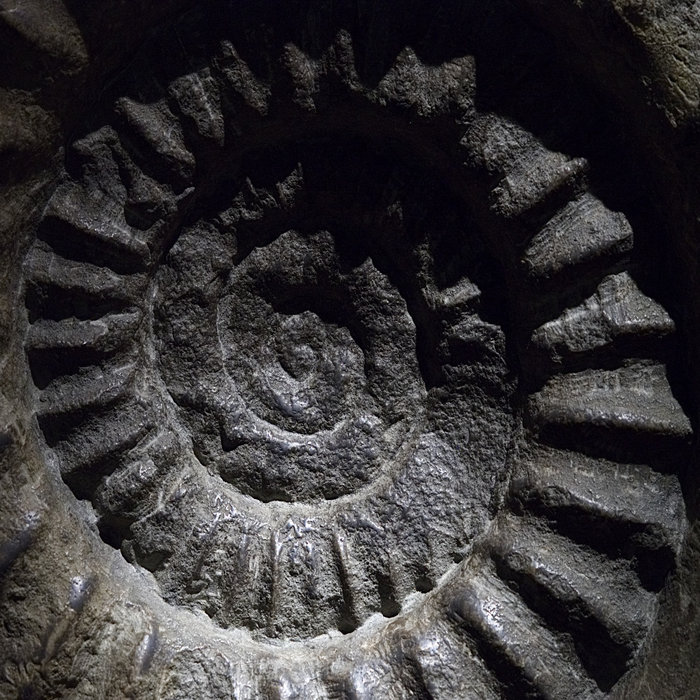 Empty | Sado Rituals / Wormb | Sado Rituals