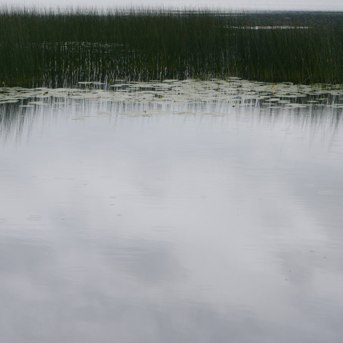 Rules For Hiding In Plain Sight | Simon Cresswell