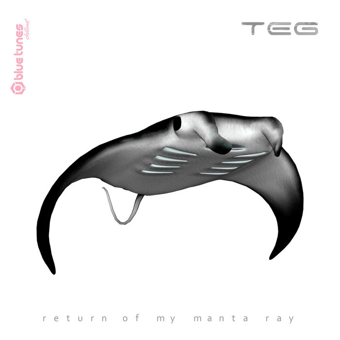 Return of My Manta Ray | TEG | Blue Tunes Chillout