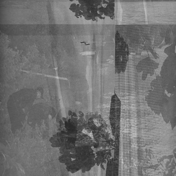 Split | Reaper / Gashkadin | Male Activity