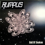 Ring Of Scales | Rumpus