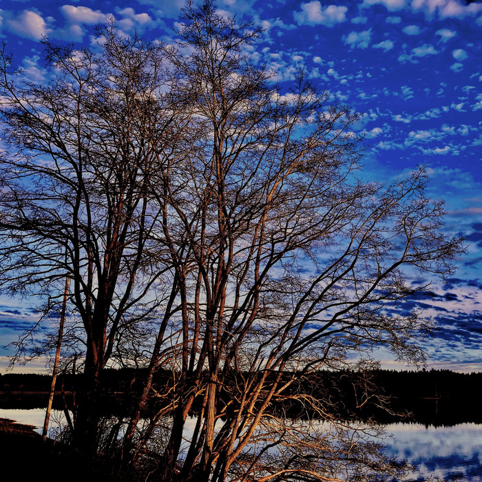 Dream World Underground | Echo Tongues