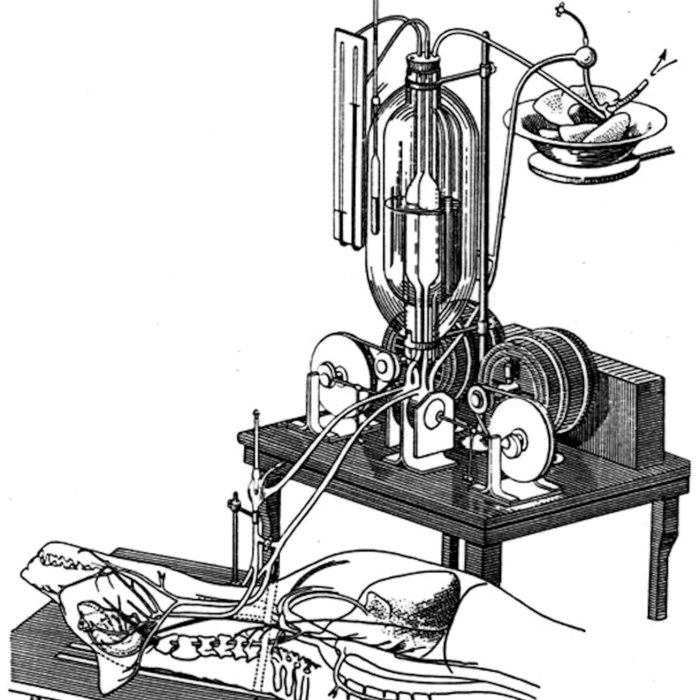 I am machine | dogead