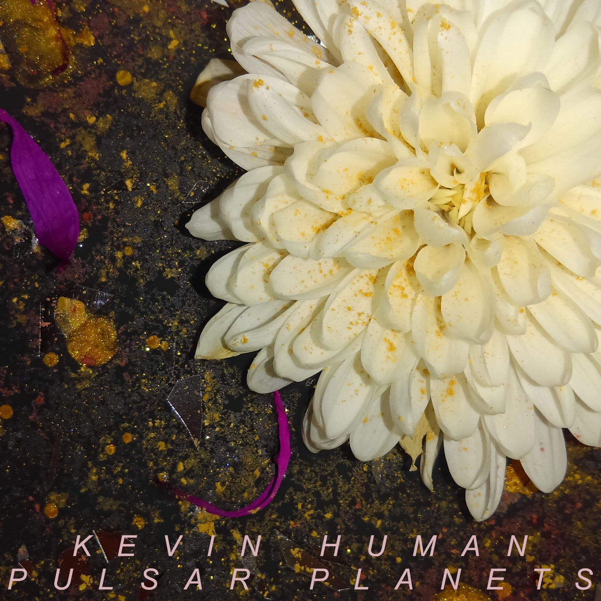 Pulsar Planets | Kevin Human
