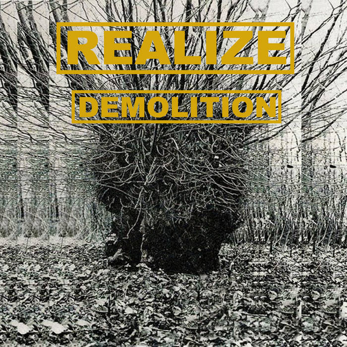 Realize Album