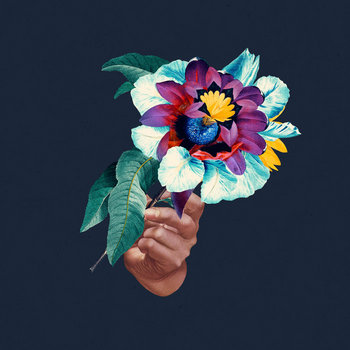 Music | Maribou State