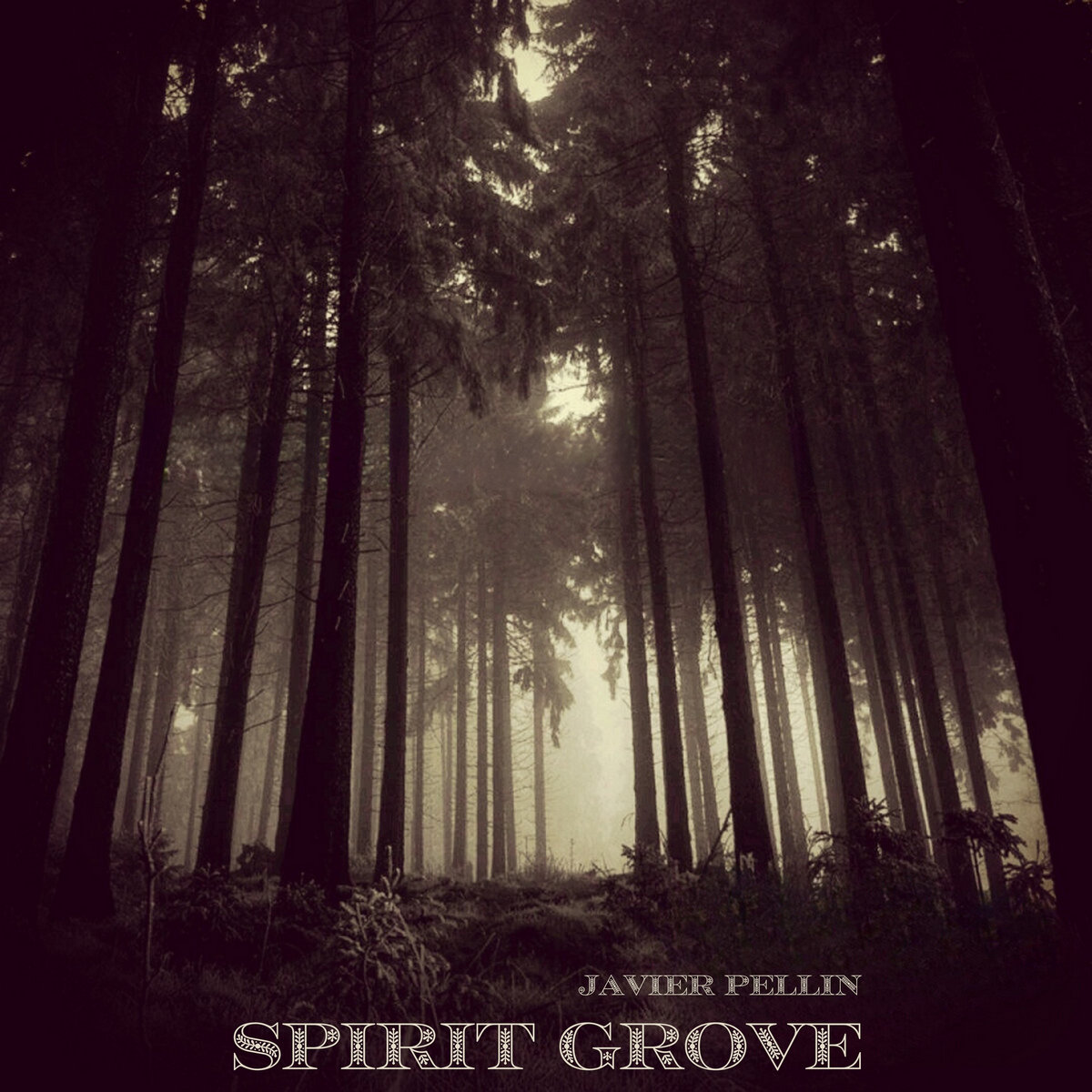 Spirit Grove | Javier Pellin