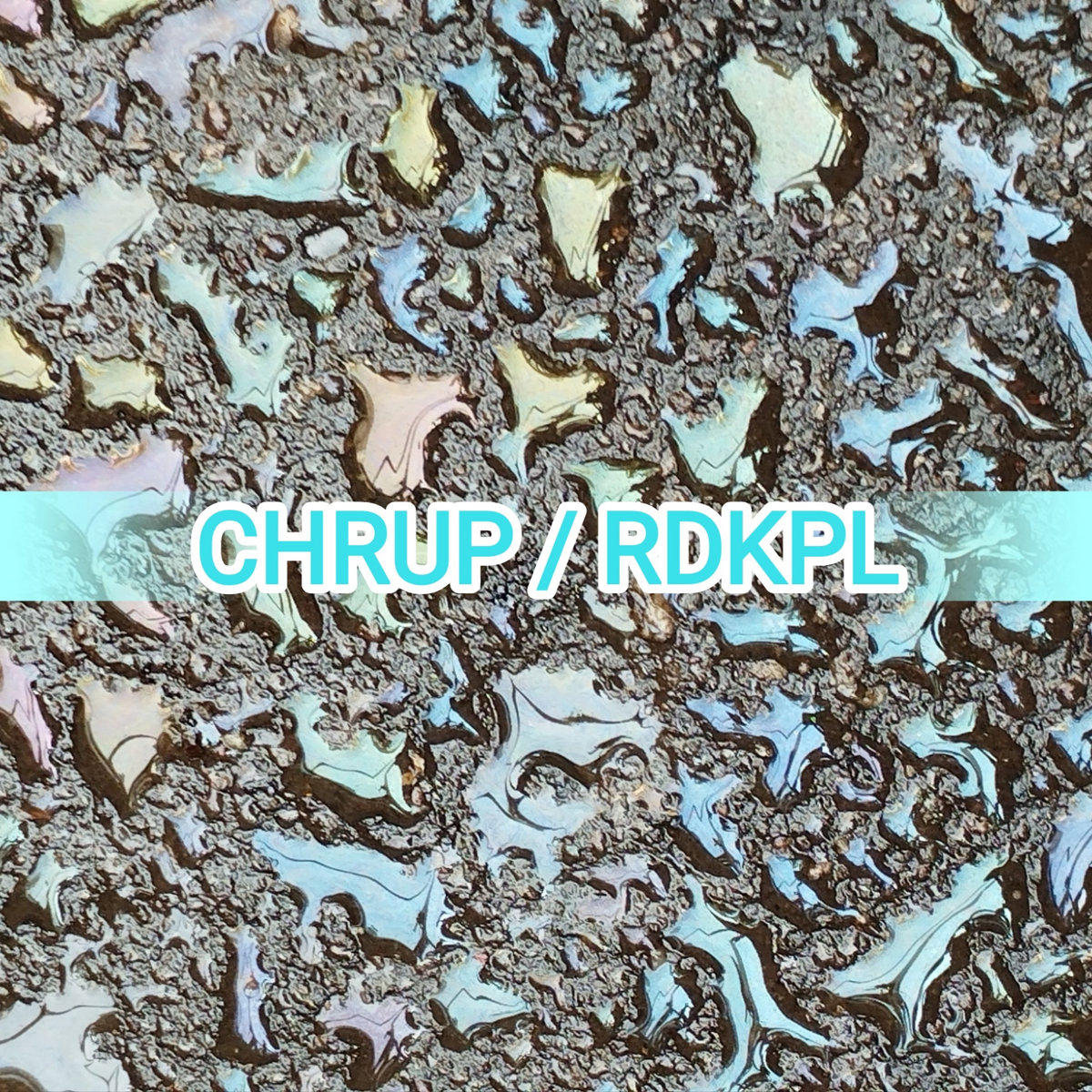 CHRUP / RDKPL | CHRUP / RDKPL | RDKPL
