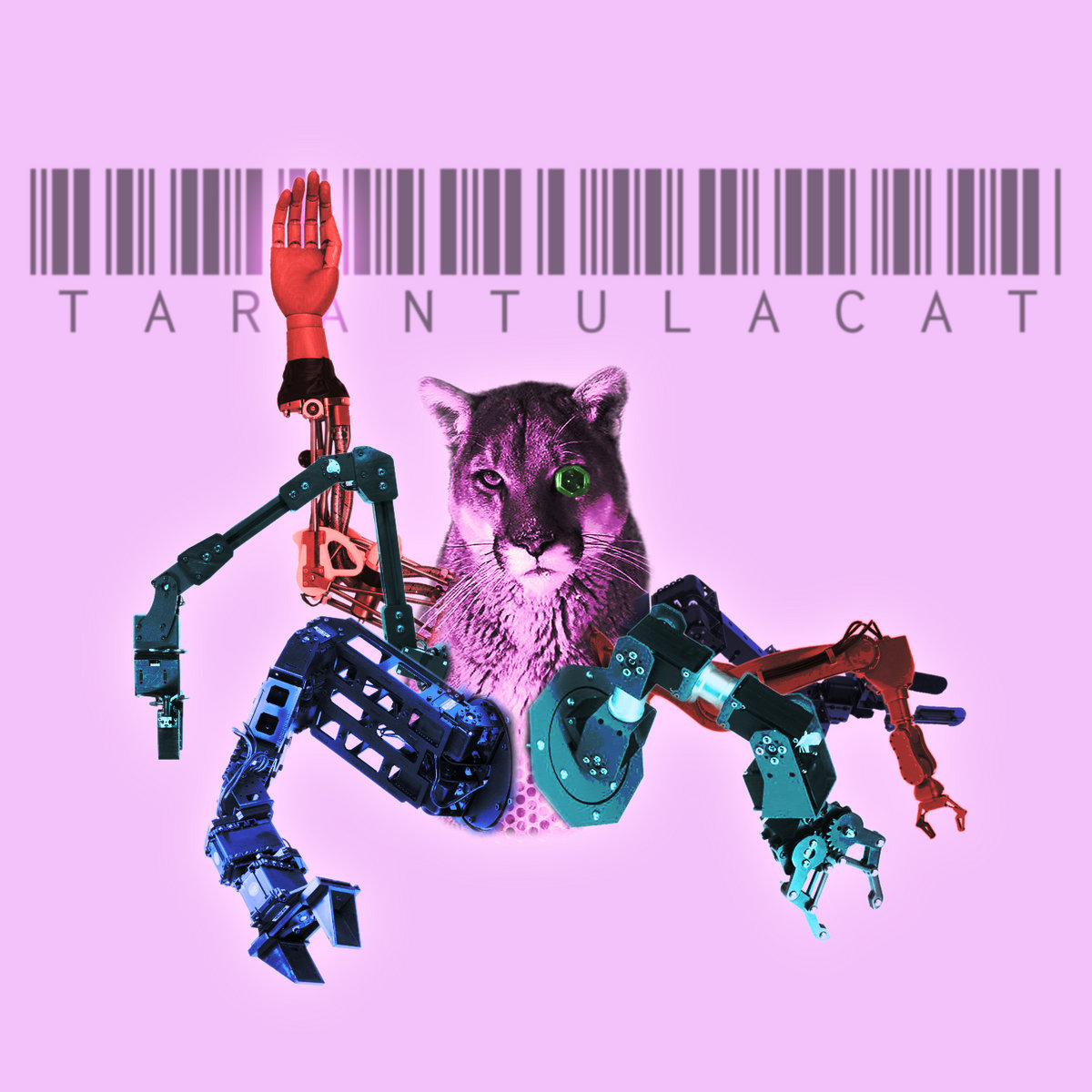 Wovoka | Tarantula Cat