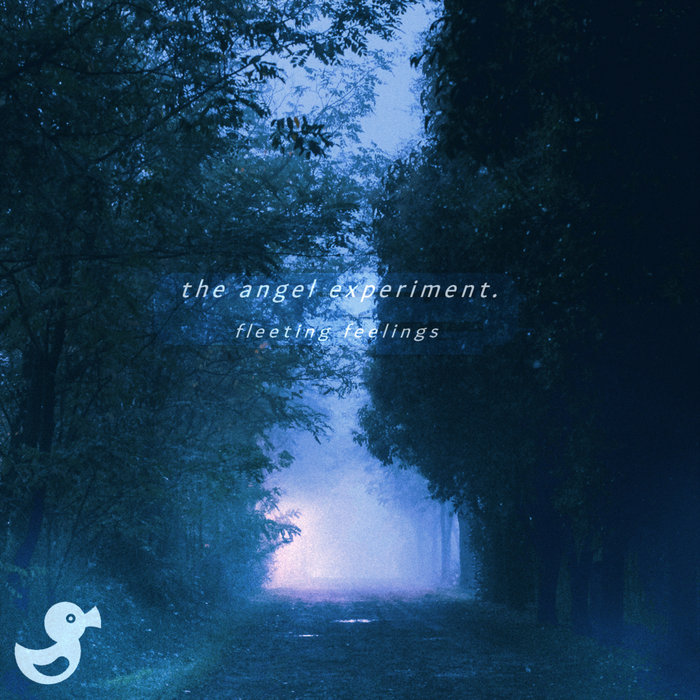 fleeting feelings | the angel experiment. | Cyduck