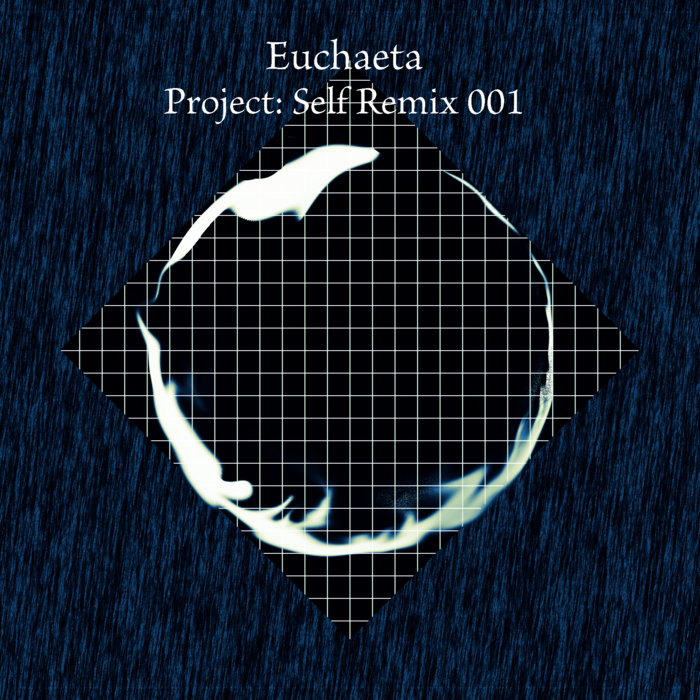 Project: Self Remix 001 | Euchaeta