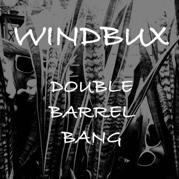 Double Barrel Bang | Windbux