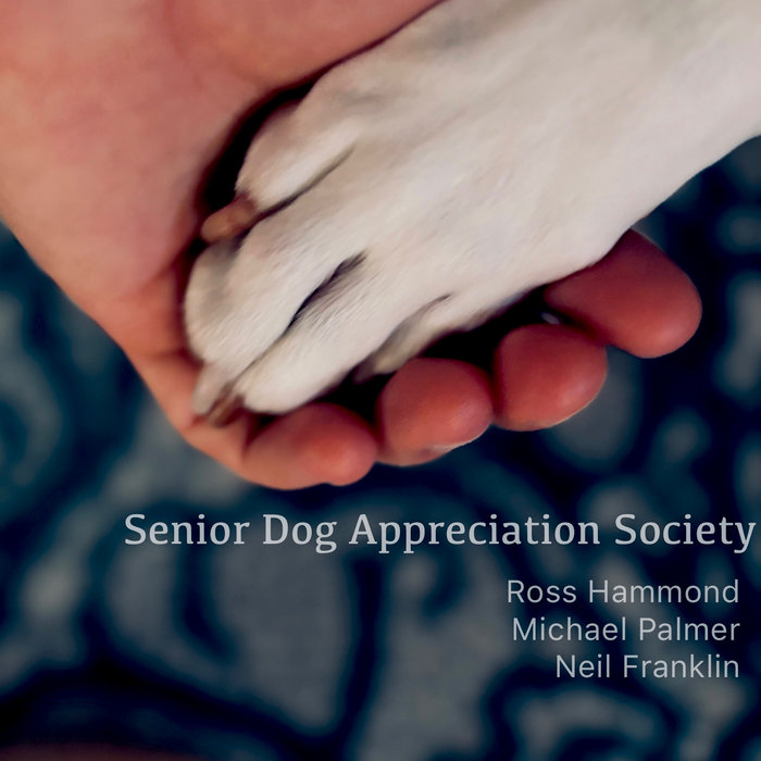 Senior Dog Appreciation Society | Ross Hammond