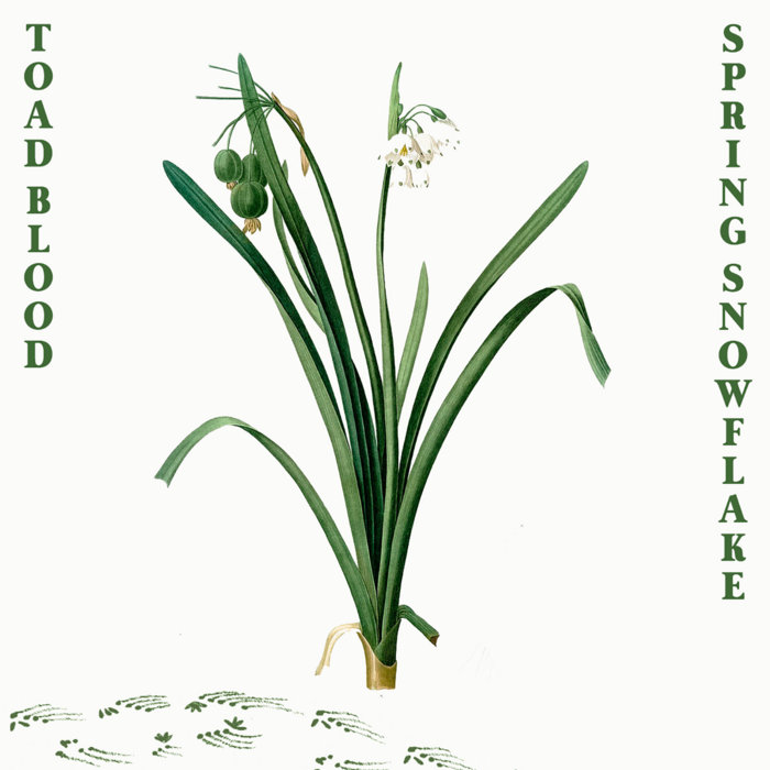 Spring Snowflake | Toad Blood