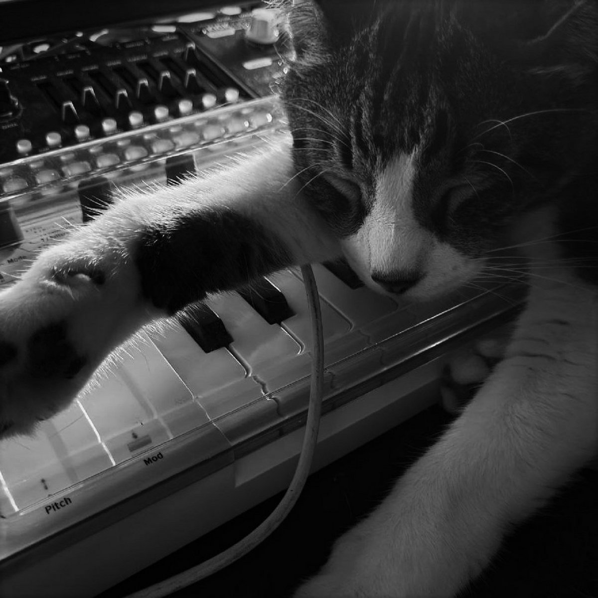 October 2022 | Justin de Guzman