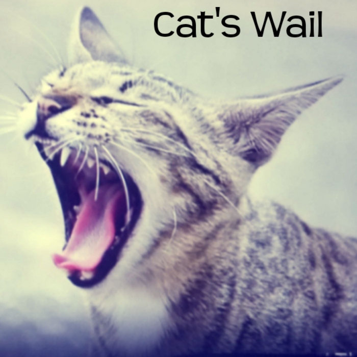 Cat's Wail | Bob Wingate