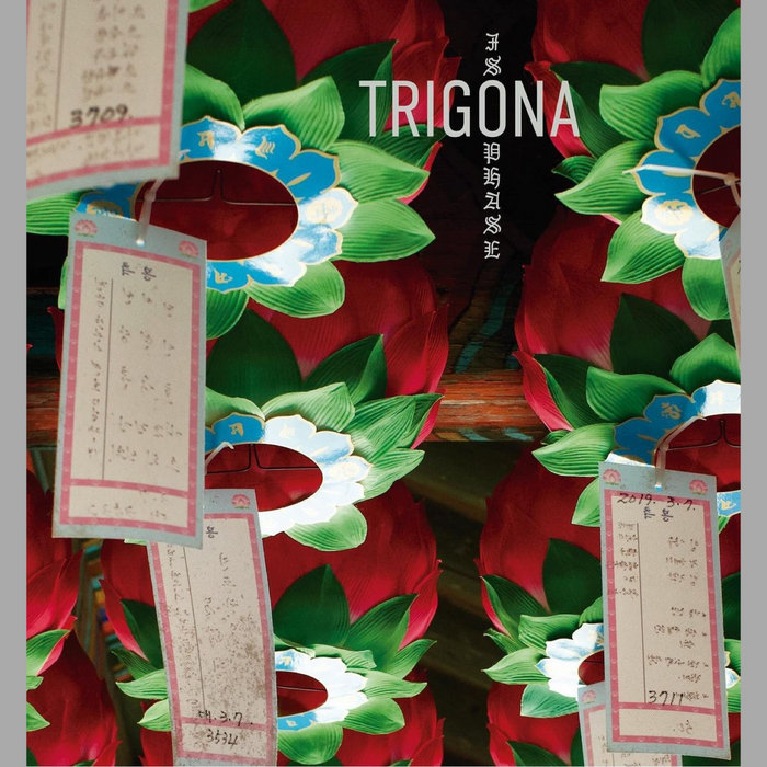 Isophase | Trigona | echodelickrecords