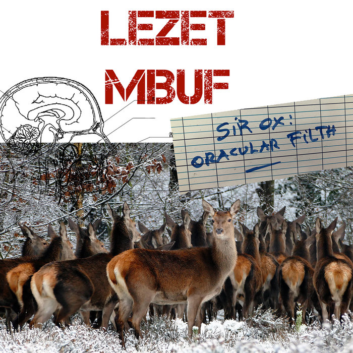 A THOUSAND DREADS - OCCIPITAL-CEREBELLUM-BRAIN STEM | LEZET/M B U F ...