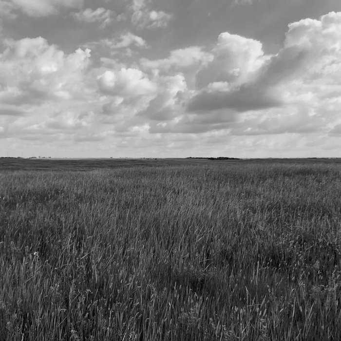 Get Up Trinity | Nora Nygard | prairie goth