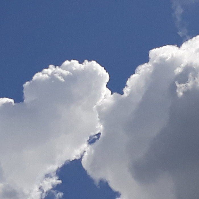 Poetry of Life | Jonah Hall