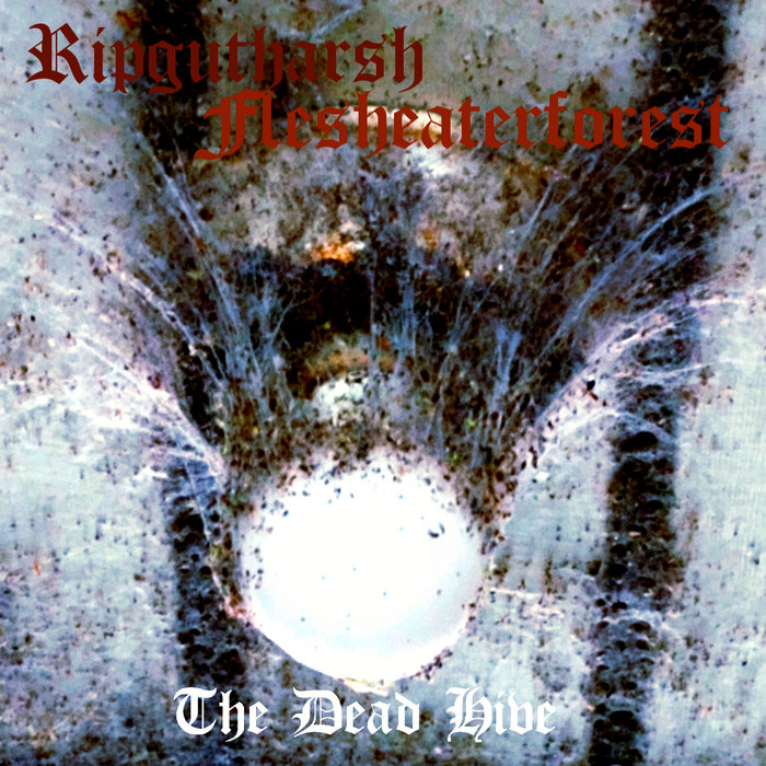 The Dead Hive | Ripgutharsh x Flesheaterforest | Flesheaterforest