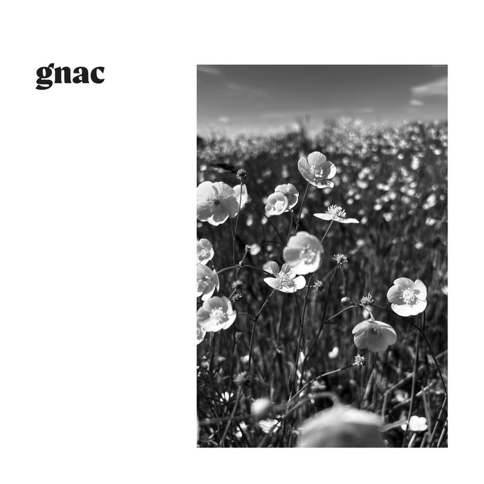 Elegant Contact | GNAC | GNAC, Vetchinsky Settings, The Montgolfier ...