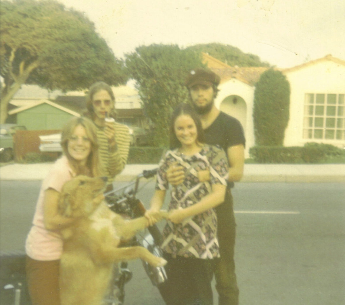 Bannister Road | Greg Sebbo | David Haggard