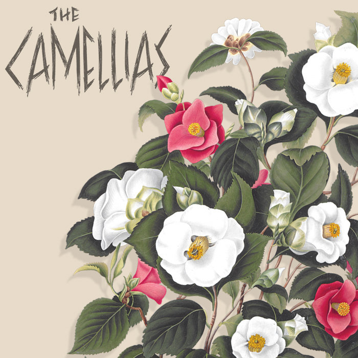 The Camellias | The Camellias
