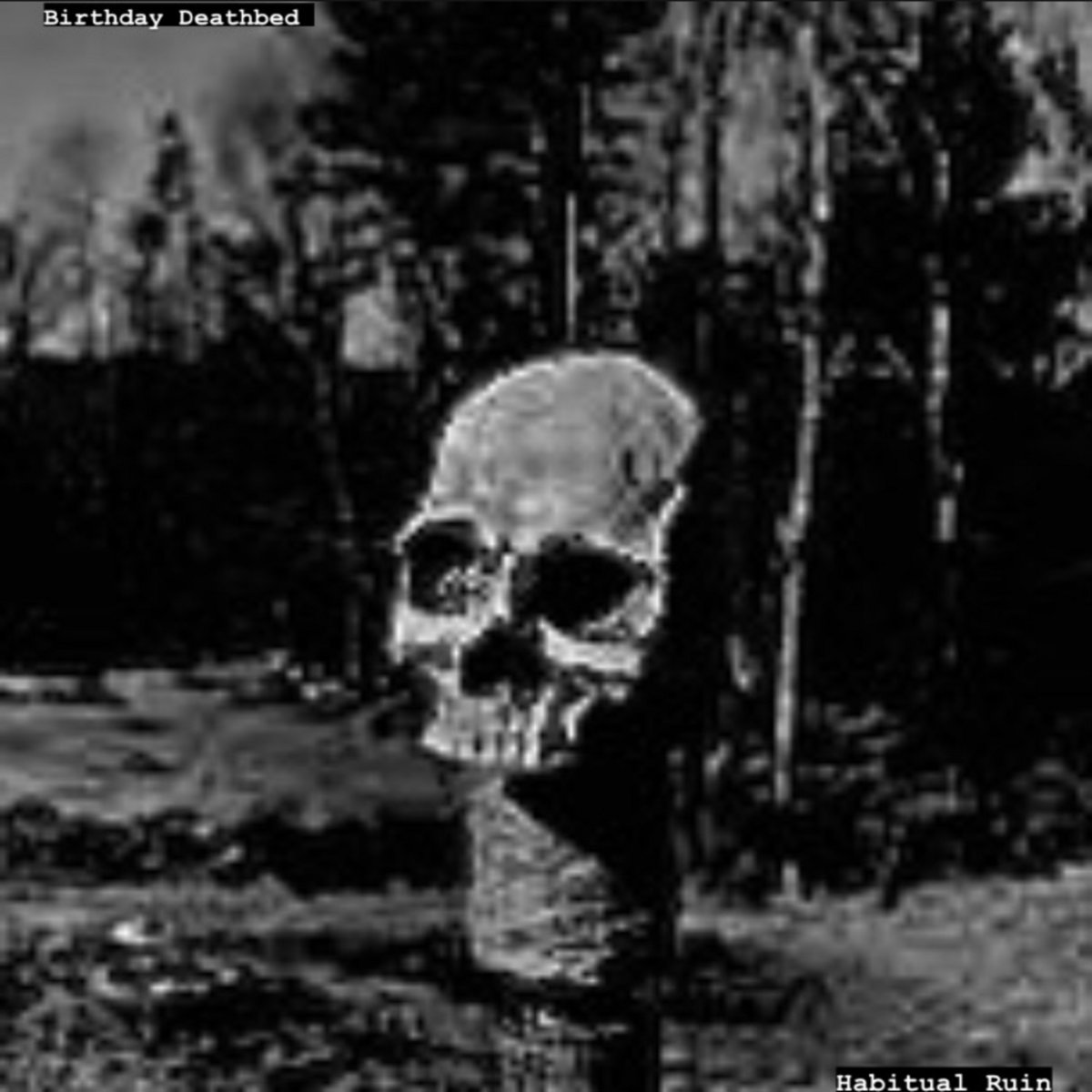 Habitual Ruin | Birthday Deathbed | Carbon Son