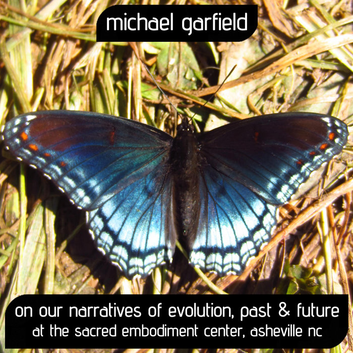 On Our Narratives of Evolution, Past & Future | Michael Garfield