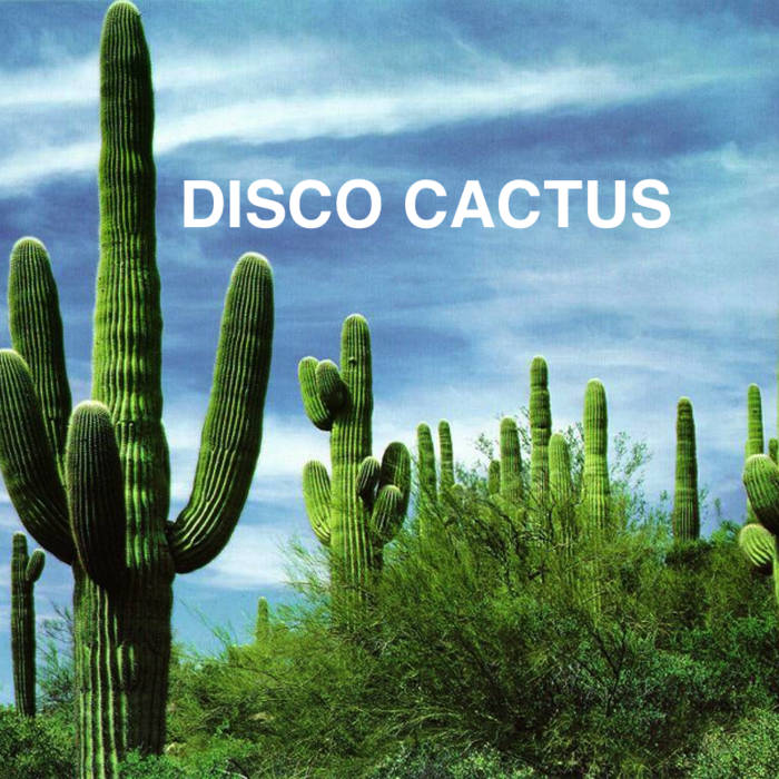 DISCO CACTUS | Disco Cactus