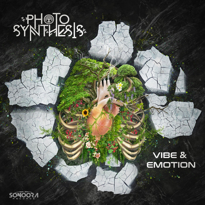 Vibe & Emotion | Photosyntesis | Sonoora Records