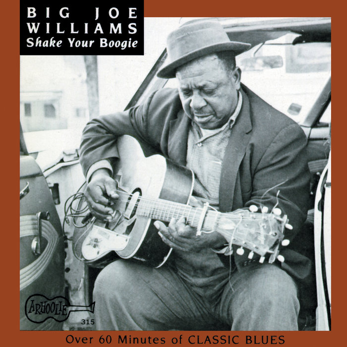 Shake Your Boogie | Big Joe Williams