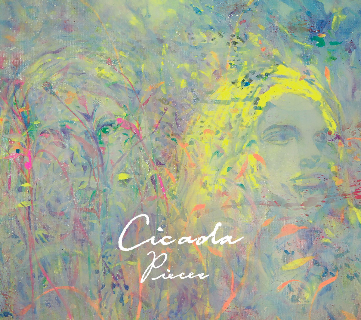 Pieces | Cicada | FLAU