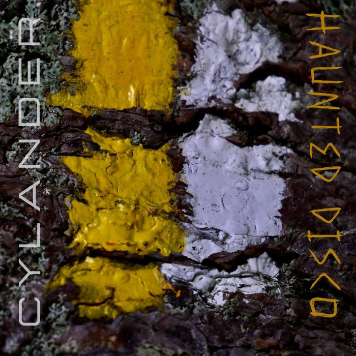 122 Haunted Disco LP 2 | Cylander (Fluffy Inside & Liryc 303 ...